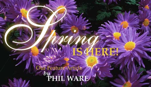 HEARTLIGHT(R) Magazine: Heart Gallery: Spring is Here!